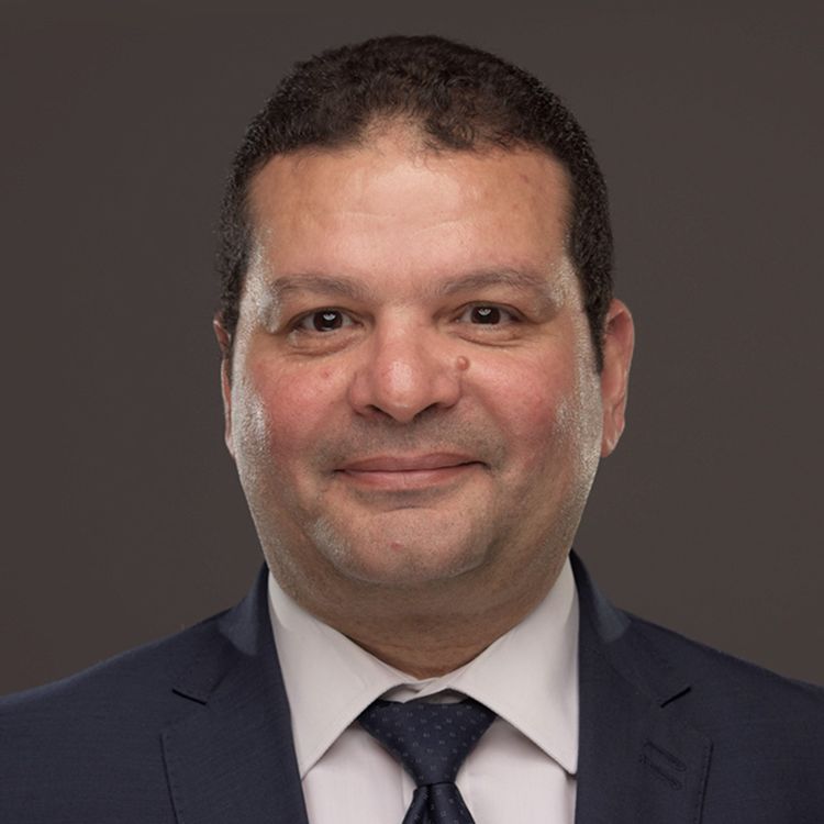 Ehab Mohammed Hassan Abouaish Director At Alexbank The Org 