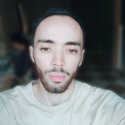 Adel Chemi - Web Developer at Scopic Software | The Org