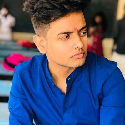 Vikrant Pratap Singh - Back End Developer (Java) at SkilloVilla | The Org