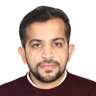 Raza Hamdani - Principal Software Engineer at Revolving Games | The Org