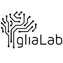 GliaLab | The Org