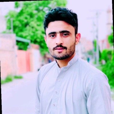 Ali Raza - Software Engineer at TekHqs | The Org