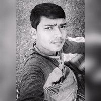 Milan Kakadiya - Senior Software Engineer at Insight Timer | The Org