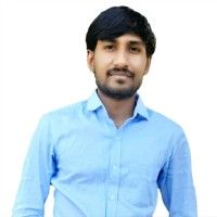 Ankit Patel - Shopify and Magento Developer at Born Techies | The Org