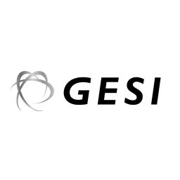 GESI Hospitality - Org Chart, Teams, Culture & Jobs | The Org