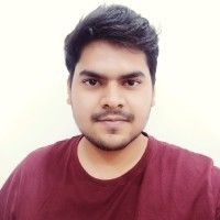 Rishabh Dani - Software Engineer at Deep Vision | The Org