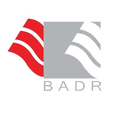 Badr Electric - Org Chart, Teams, Culture & Jobs | The Org