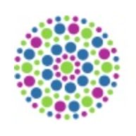 All Global - Org Chart, Teams, Culture & Jobs | The Org