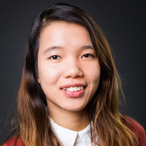 Thi Viet Quynh Nguyen Java Engineer Iii At Taxdoo The Org 
