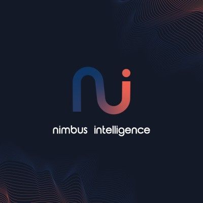 Niccolò Racioppi - Data Engineer at Nimbus Intelligence | The Org