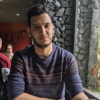 Ilyes Kechidi - Frontend Web Developer at Data Impact by NielsenIQ | The Org