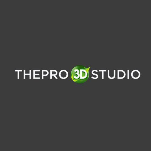 ThePro3DStudio | The Org
