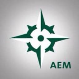 AEM Consulting Group | The Org