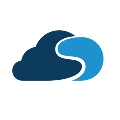 Julie Immer - Director of Customer Success at Selas Technologies | The Org