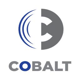 Stan Salvador - Chief Scientist at Cobalt Speech & Language | The Org