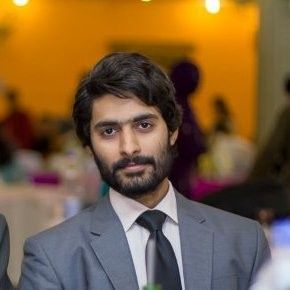 Ali Safdar - Principal Software Engineer at Revolving Games | The Org