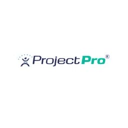 ProjectPro | The Org