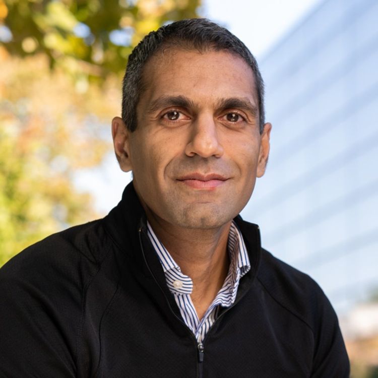 Naveen Verma - CEO at EnCharge AI | The Org